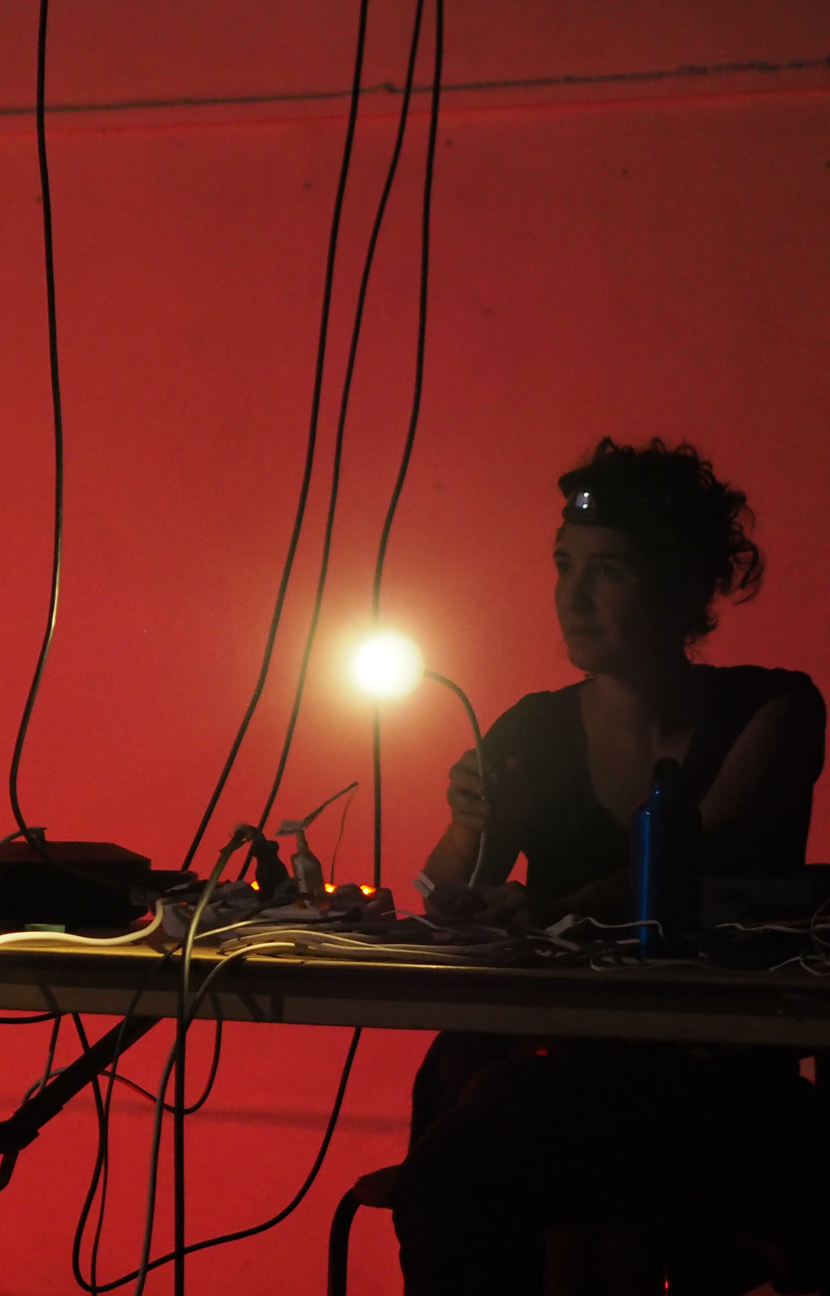 Lucie Cardinal - Callicarpa